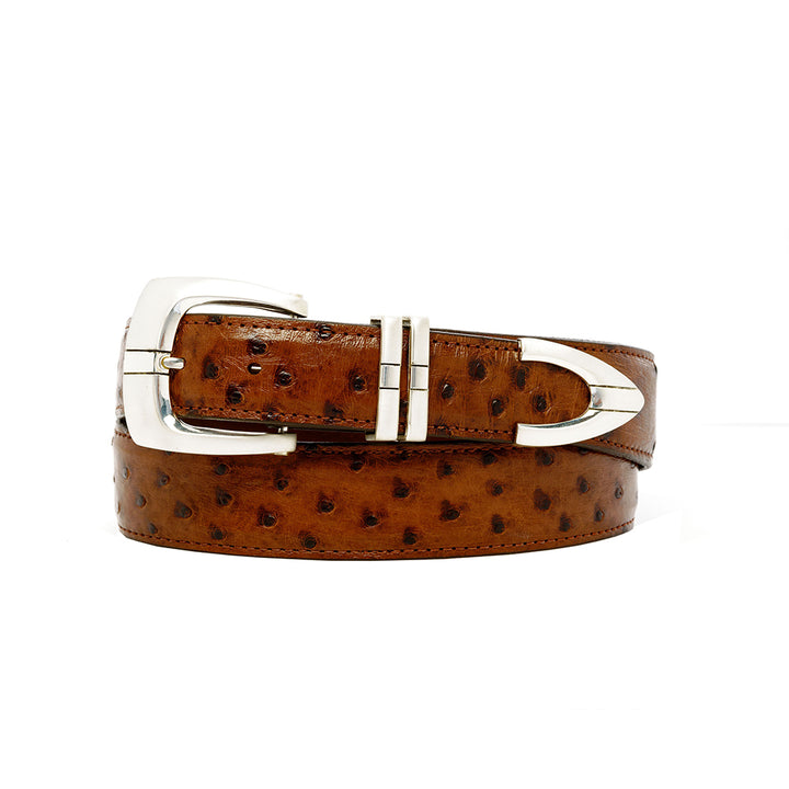 Buckle Sets – Tom Taylor Belts | Buckles | Bags